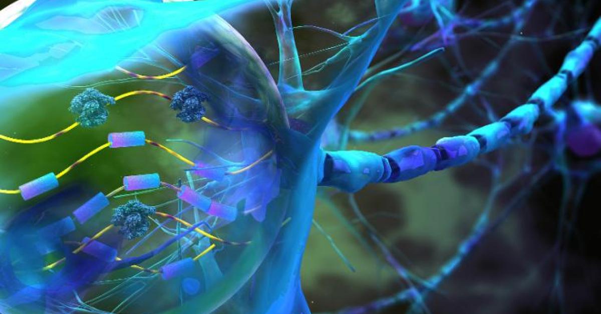 New Duke Center Takes Aim at the Dark Genome | Duke Department of ...