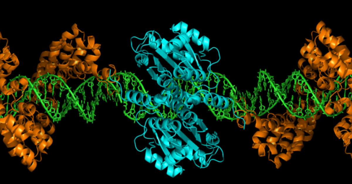 The Evolution of Genetic Engineering | Duke Department of Biostatistics ...